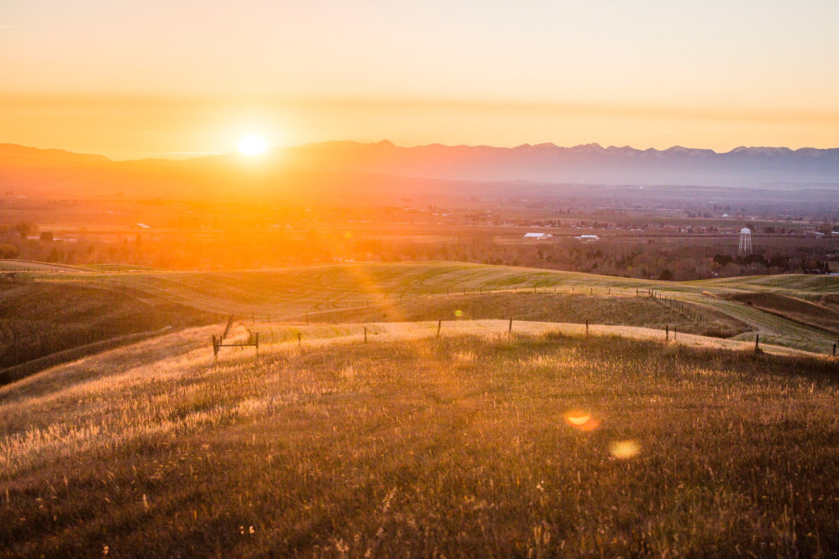 Listing #10772 | Peoples Company