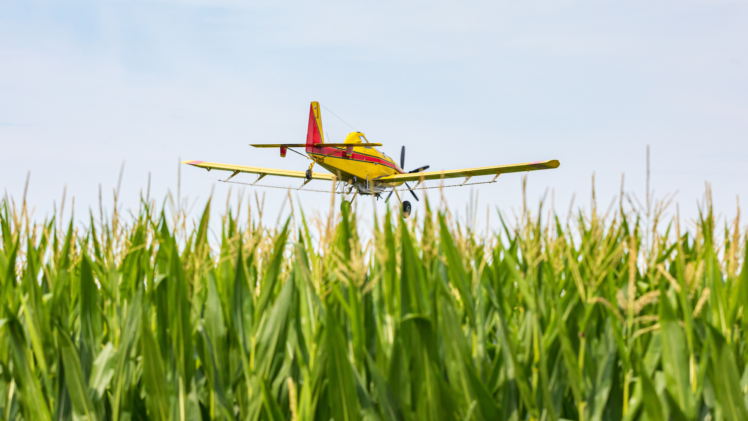 Cover Crops: Is Aerial Seeding a Fit for Your Operation?