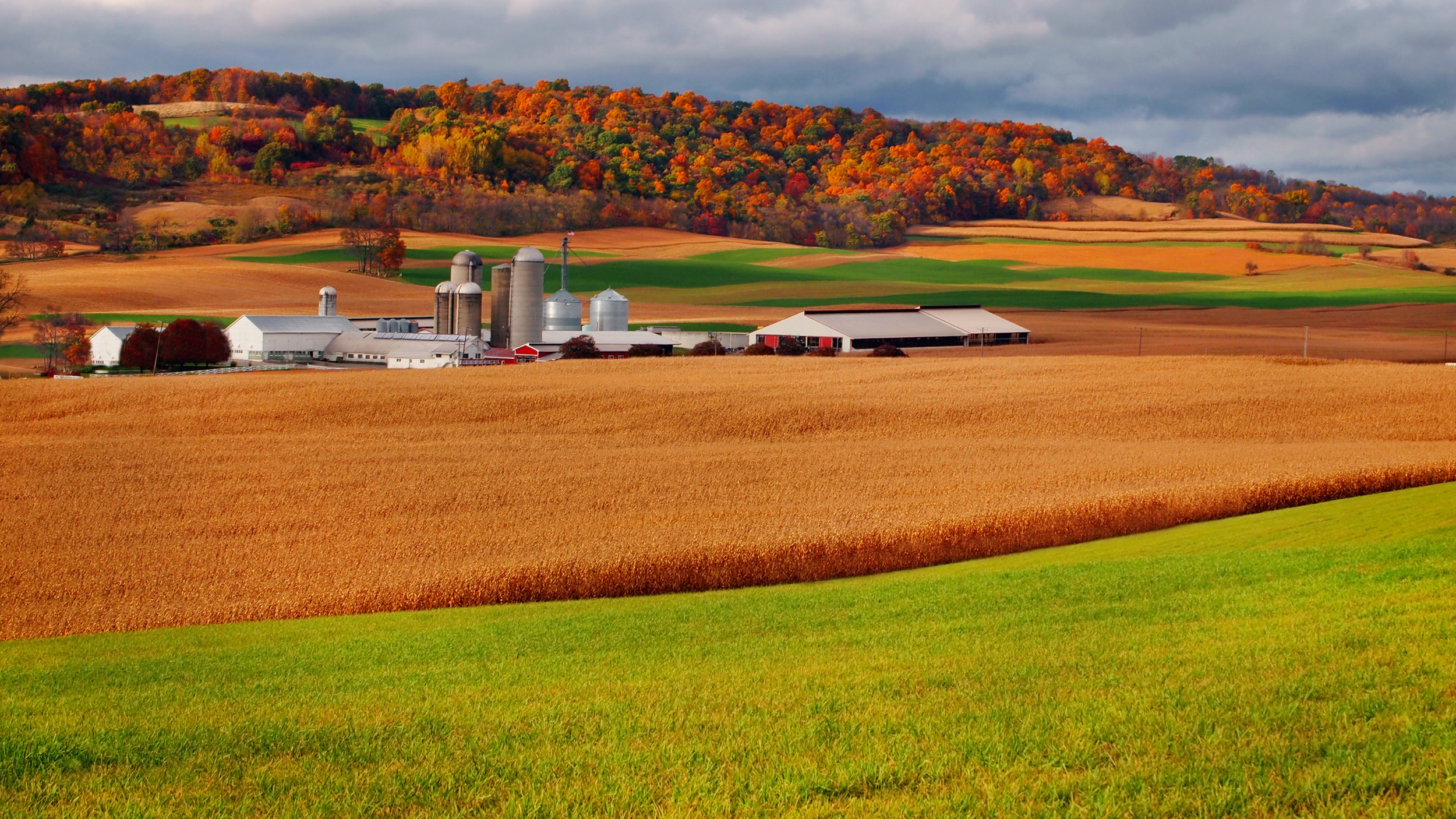 Understanding Certain Nuances of an Agricultural Real Estate Purchase ...