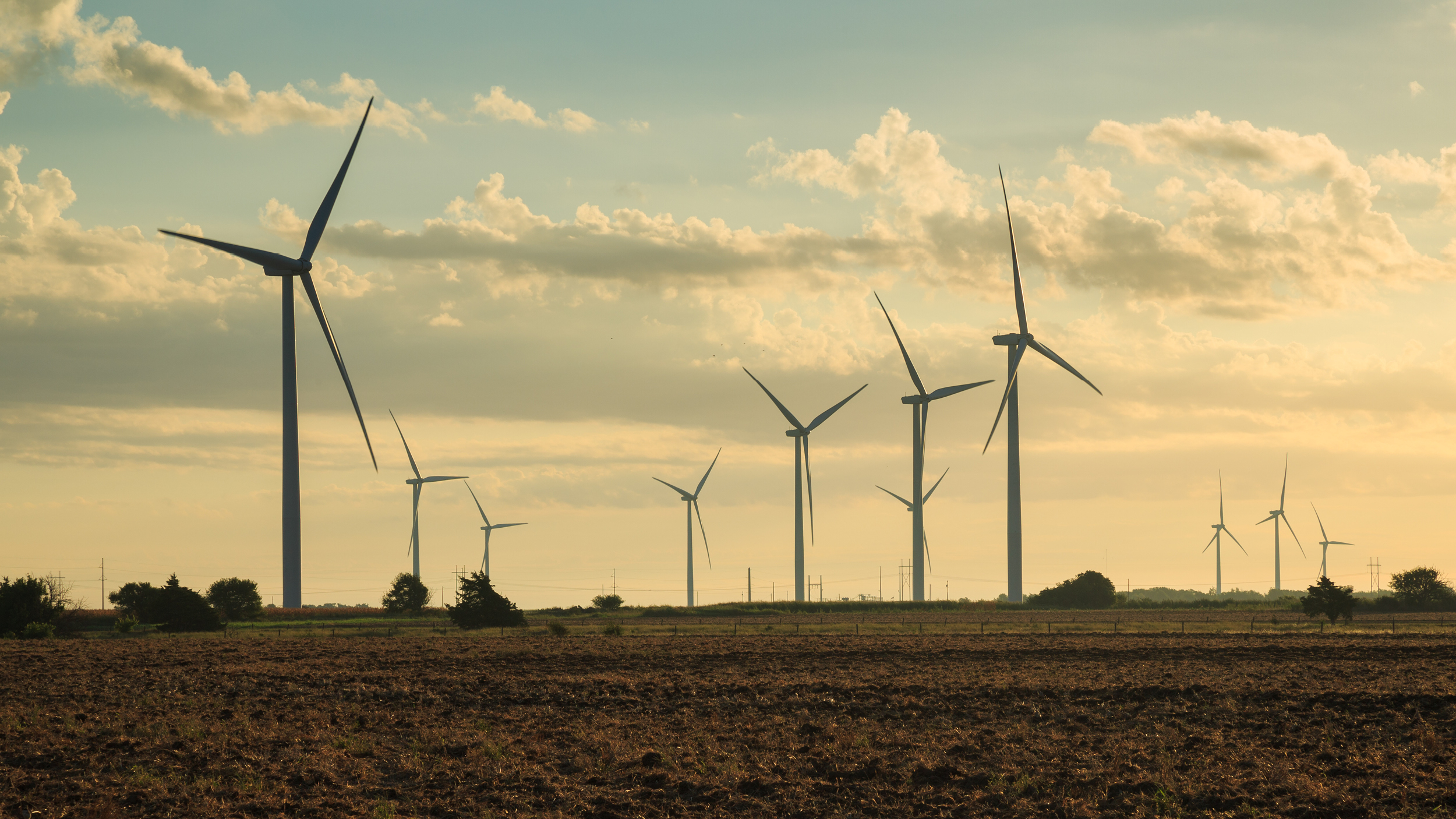 Trivia Lovers: 4 Surprising Renewable Energy Facts
